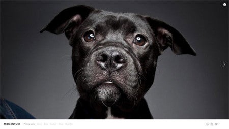 How to Choose Your Website Template Design | 3 Simple Criteria