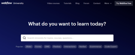 We Review Webflow: Is It Only For Web Designers?
