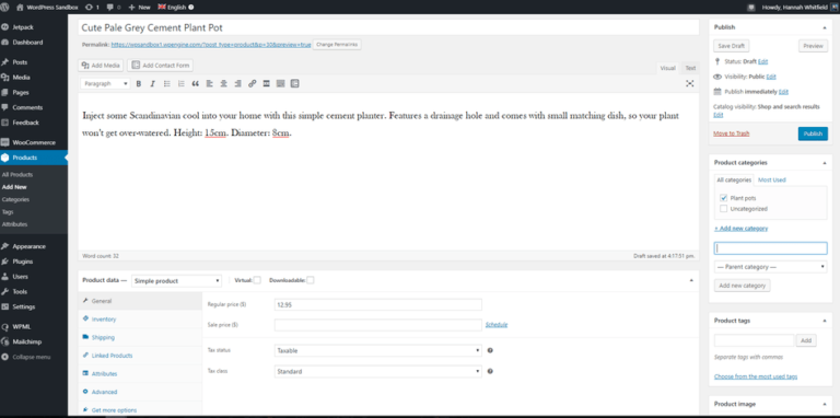 How to Make an Ecommerce Website with WordPress