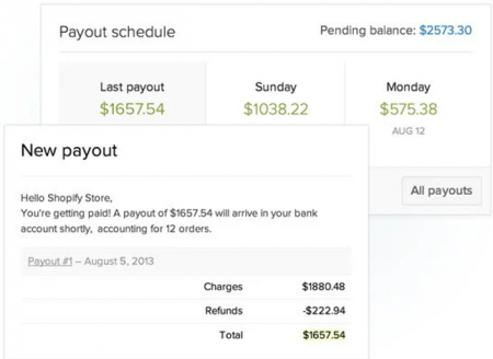 We Review Shopify Payments For Your Store: Pros, Cons, Fees