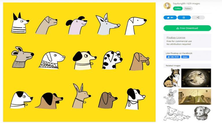 Where to Find Professional Photos For Your Website