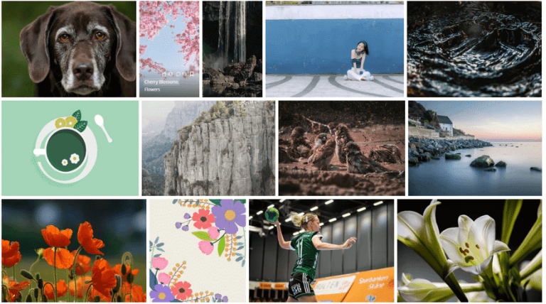 Where to Find Professional Photos For Your Website