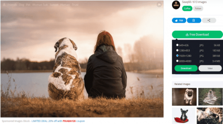 Where to Find Professional Photos For Your Website