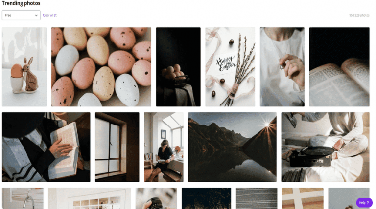 Where to Find Professional Photos For Your Website