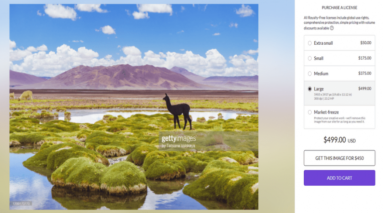 Where to Find Professional Photos For Your Website