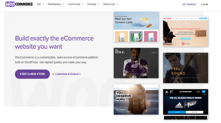 Best Ecommerce Software of 2022