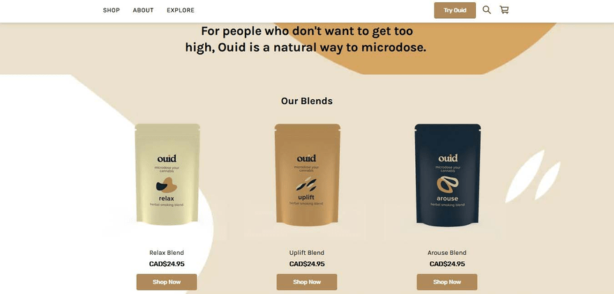 12 Square Online Store Examples to Inspire You in 2021