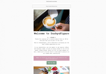 How to Use Mailchimp | Everything You Need to Know