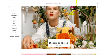 Best Website Backgrounds | Which Background Is Best for You?