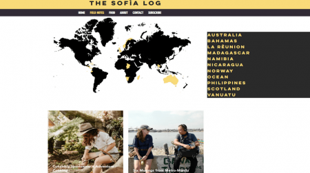 15 Best Wix Website Examples: Click For Inspiration