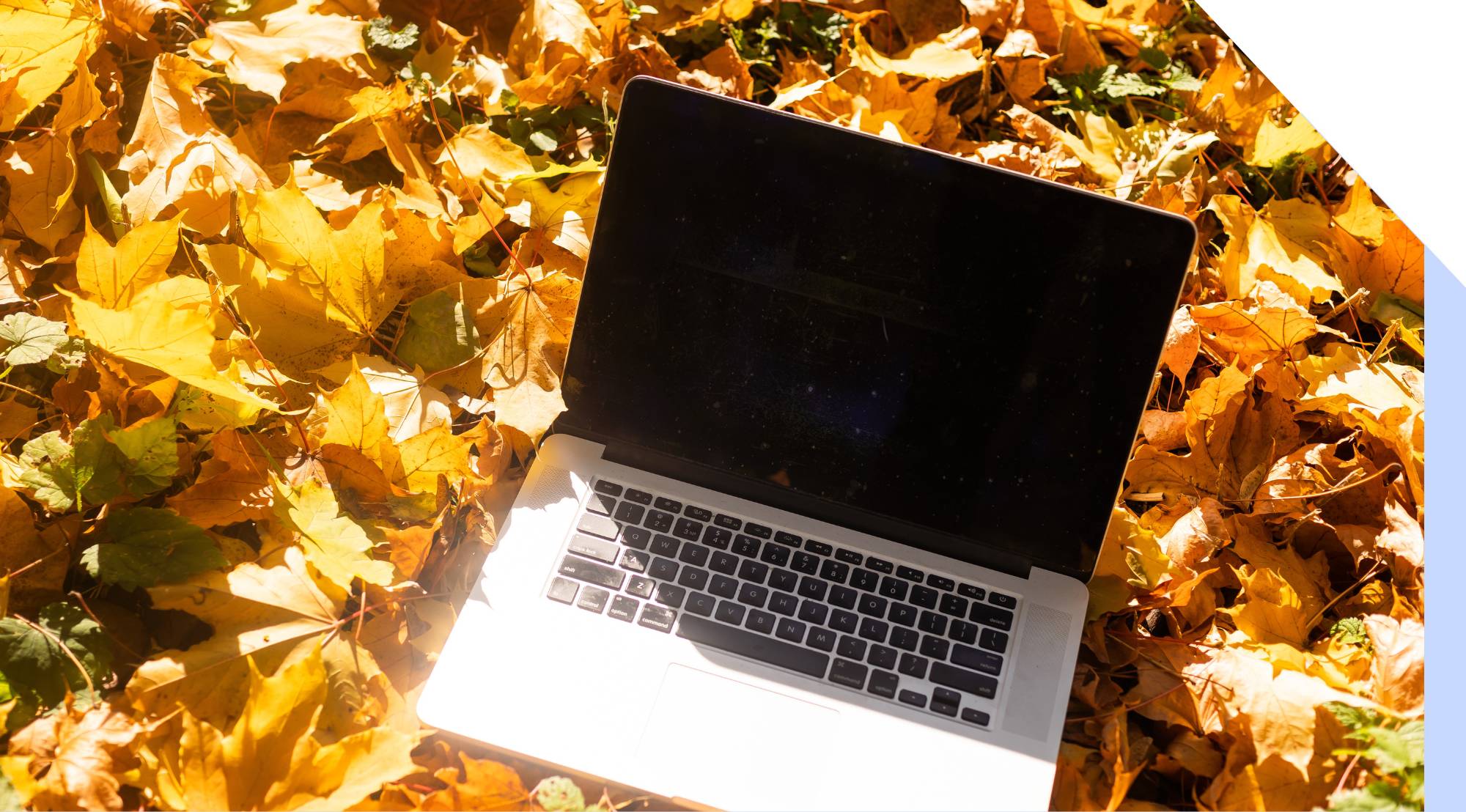 I've Gathered 10 of the Best Fall Products To Sell in 2025
