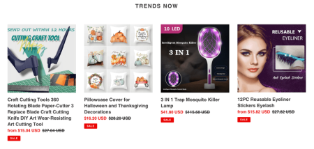 10 Dropshipping Store Examples to Inspire You