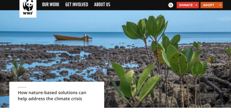 Non-Profit Website Examples | 10 Sites To Inspire You