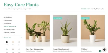 How to Sell Plants Online | 9 Easy Steps to Leafy Success!