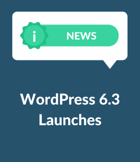 Wordpress Releases 6 3 Update