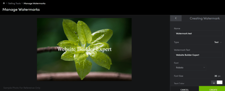 Our Honest Review of SmugMug: Is It Right for Photographers?