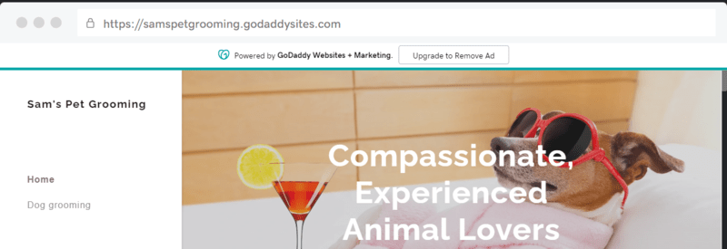 5 Best Free Website Builders in 2024 | + Pros & Cons