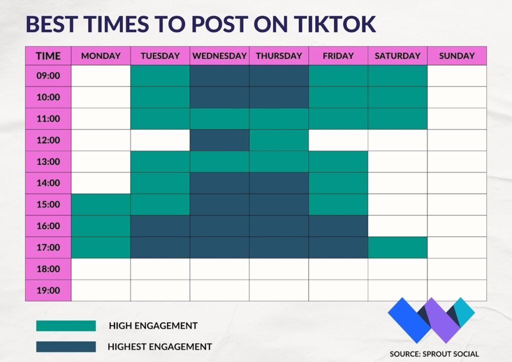 I Explain How To Use TikTok for Your Business