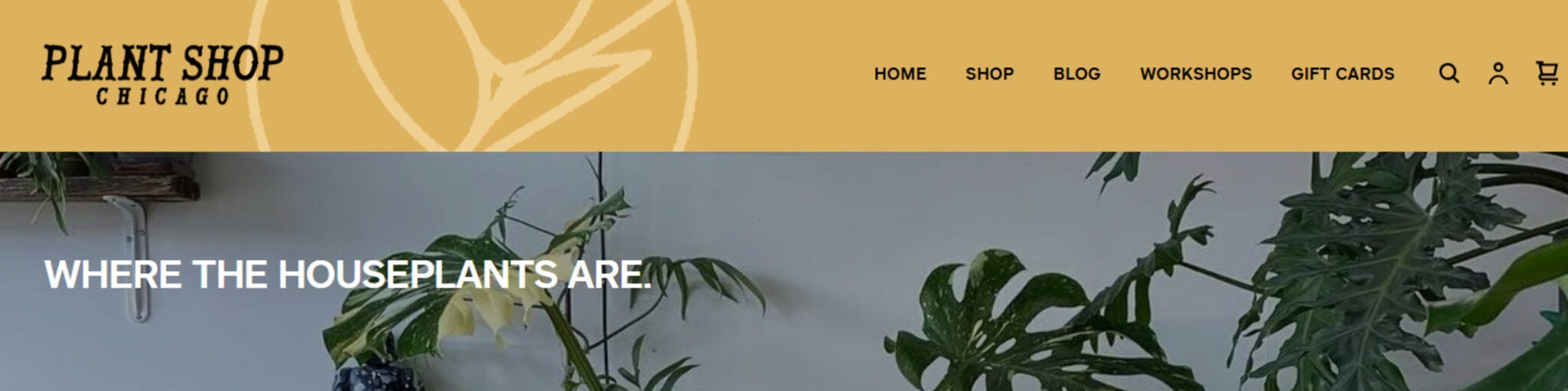 How To Build a Website in 11 Steps (2026)