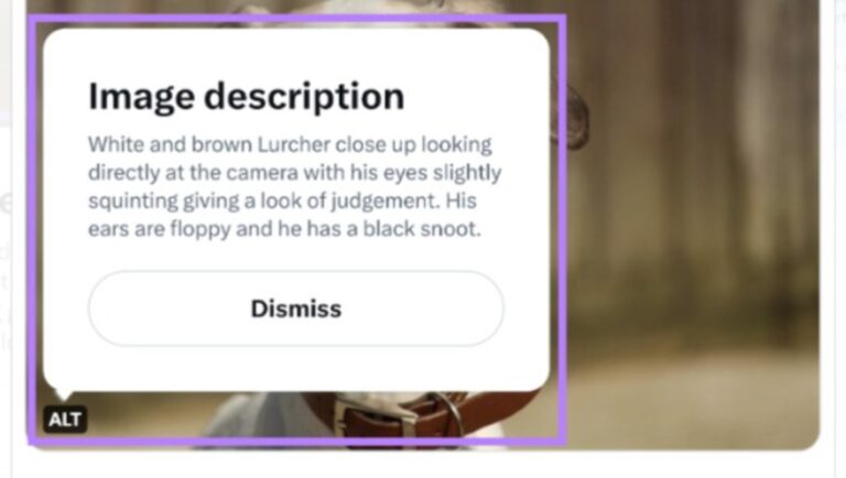 How To Write Alt Text: The Only 2 Tips You'll Ever Need
