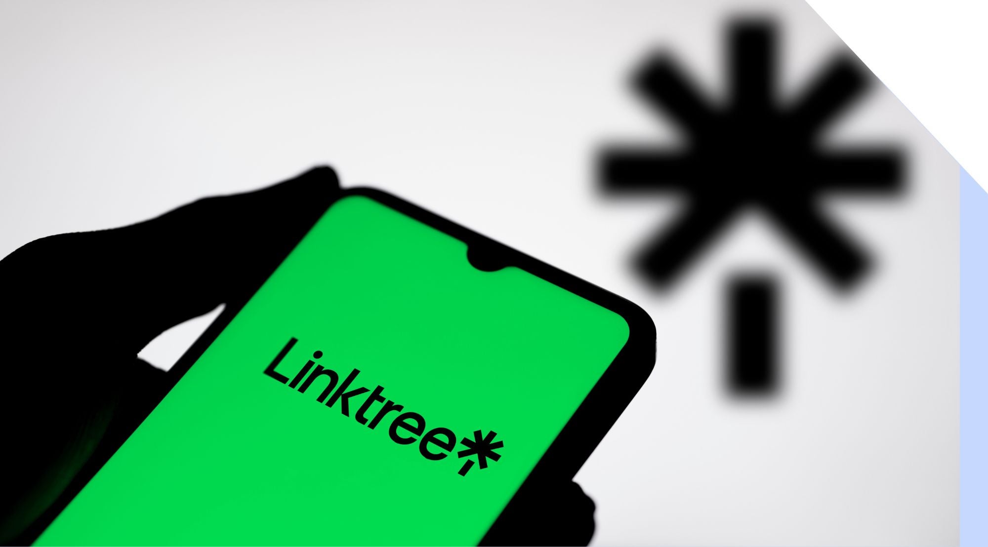 How To Set Up a Linktree for Your Business in 2025