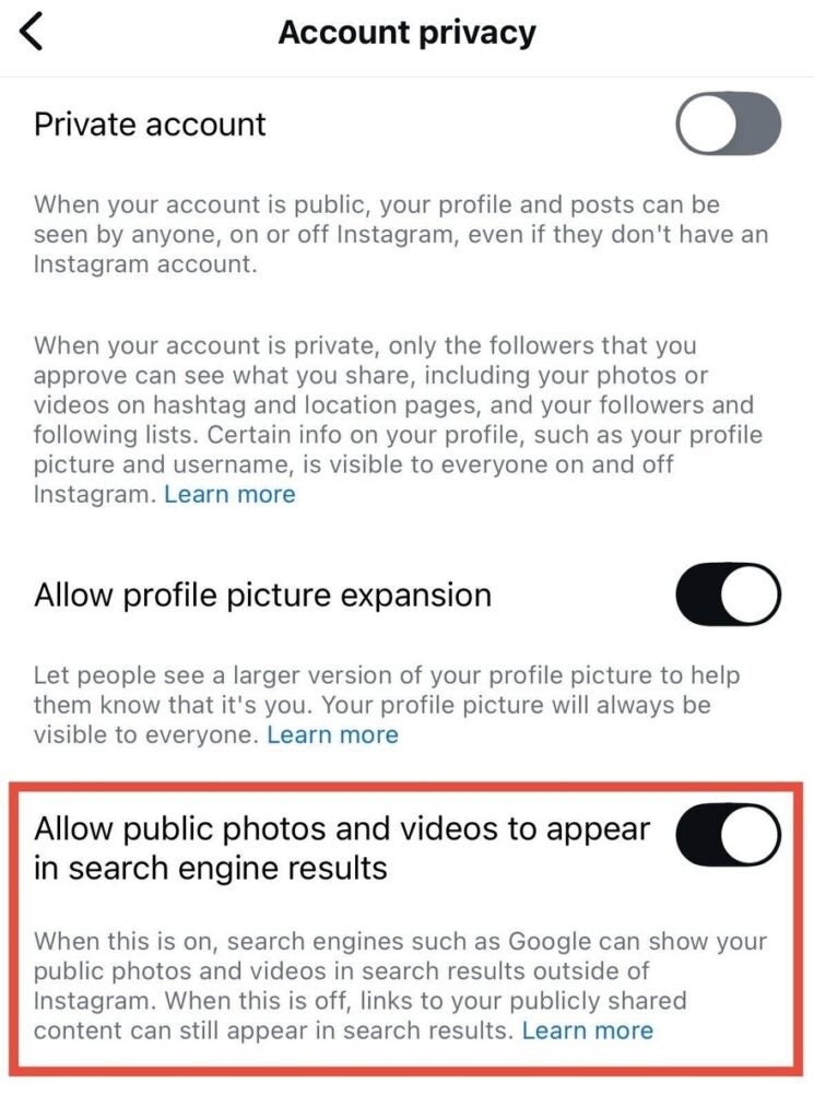 Google Search Can Now Feature Your Instagram Content